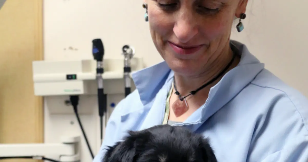 Sandra Newbury, DVM, MS | ASPCApro